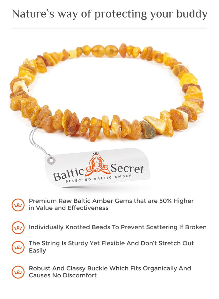 Amber Collars for Flea Prevention | Dogs & Cats – Baltic Secret