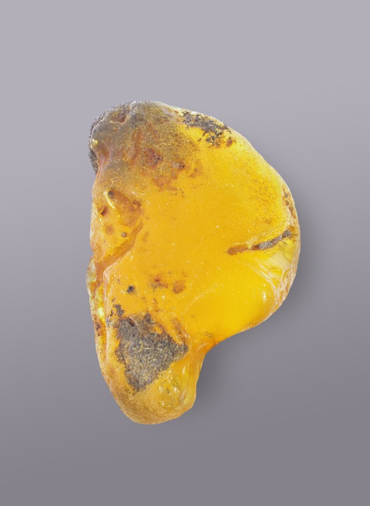 AUTHENTIC BALTIC AMBER SPECIMEN - WEIGHT 28 GR. – Baltic Secret