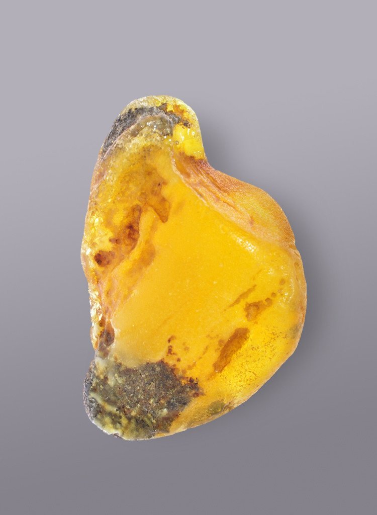 AUTHENTIC BALTIC AMBER SPECIMEN - WEIGHT 28 GR. – Baltic Secret